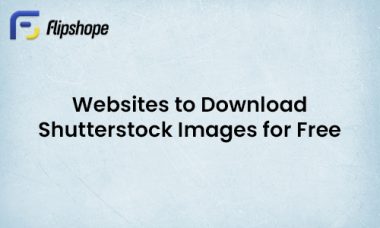 Download Free Shutterstock Images Without Trial in 2024!